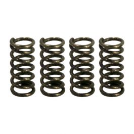 Bear RP-1110-MP-Pilot Valve Spring - Rotors - 70# (Bag of 4)