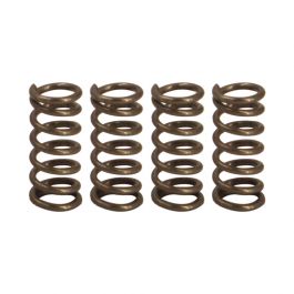 Bear RP-1111-MP-Pilot Valve Spring - Rotors - 80# (Bag of 4)